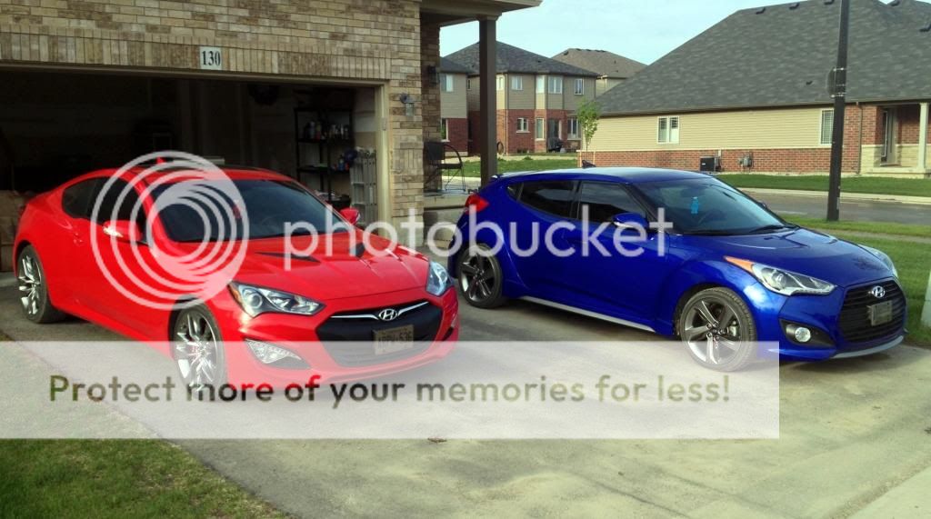 Veloster VS Genesis Coupe 2014 (GT 3.8) | Page 2 | Veloster Forum