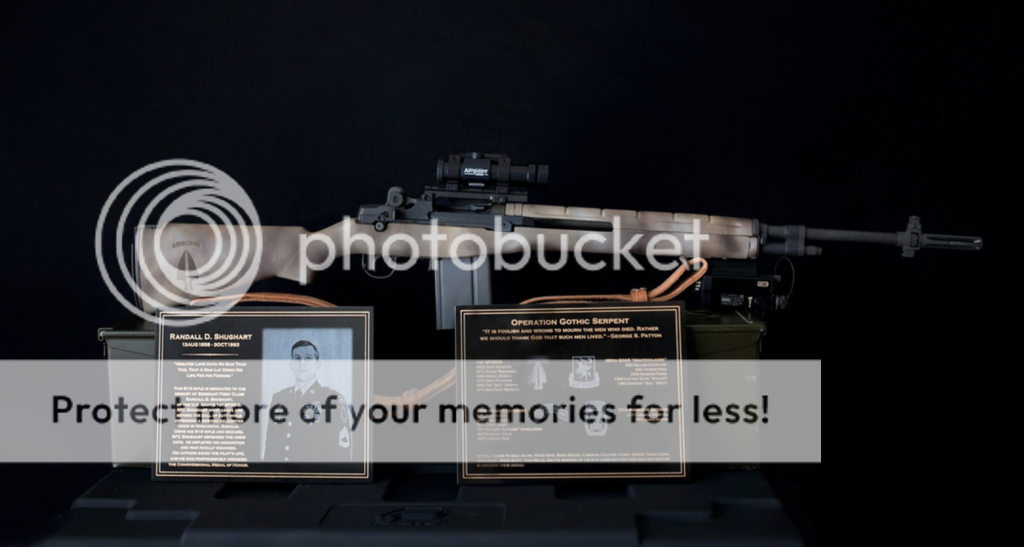 Aimpoints or red dots on an M1A, do you really gain anything? > M1 ...