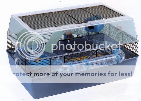 How many mice in a duna large? | Pet Mice Forum